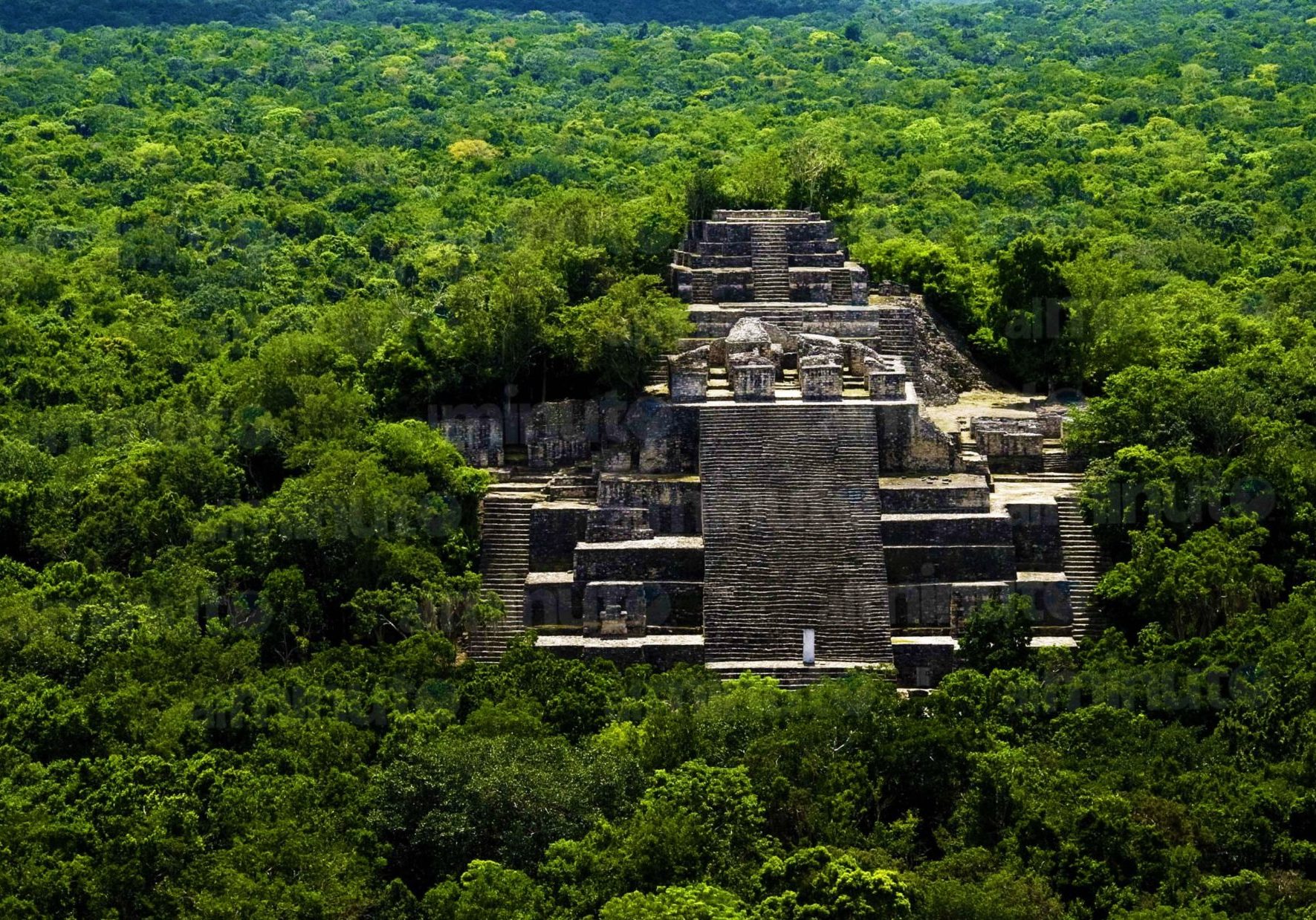 Calakmul - Mex Trotter