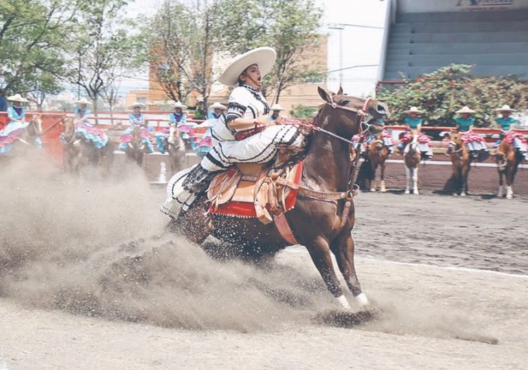 Charreria - Mex Trotter