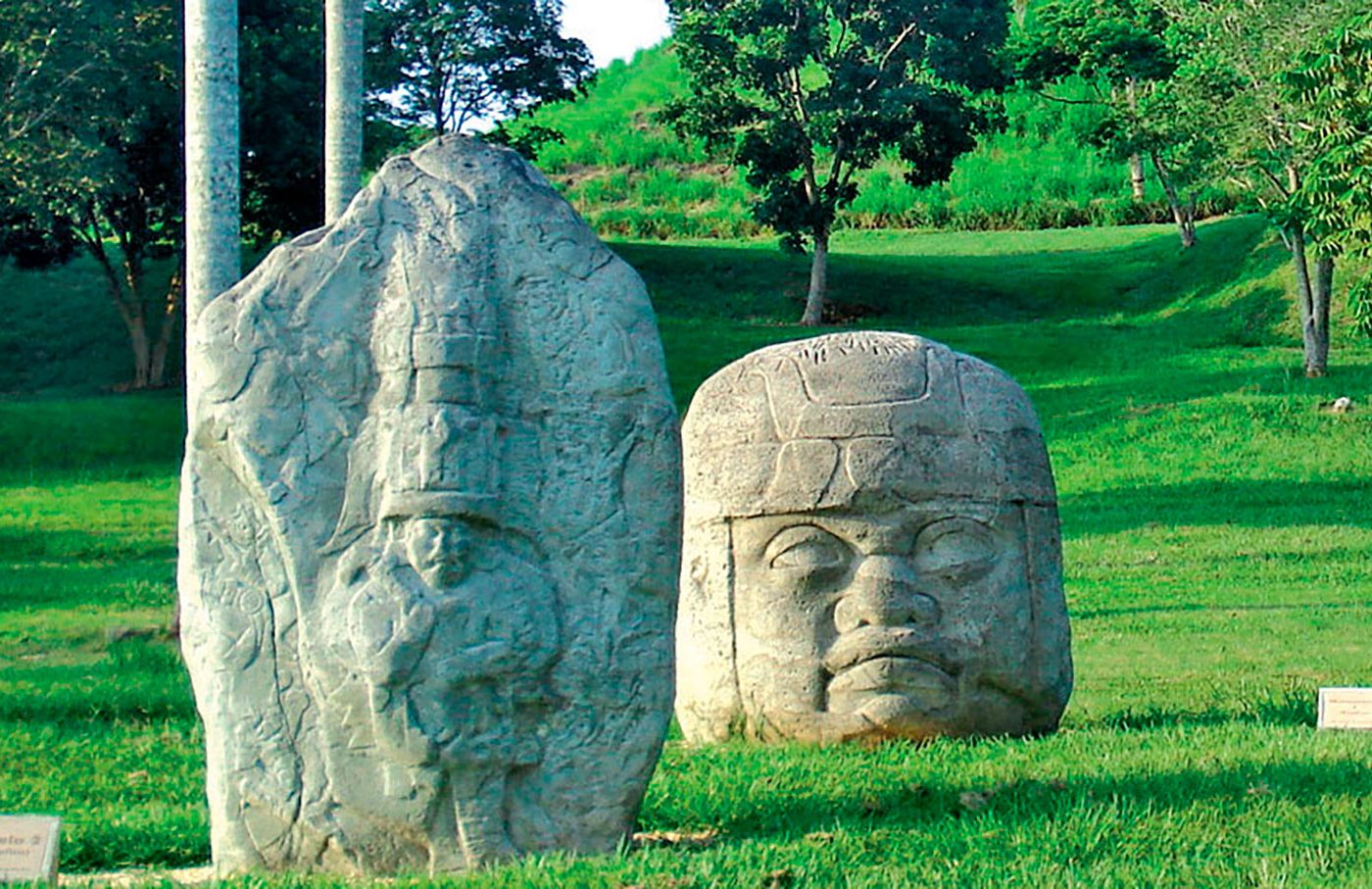 La Venta - Mex Trotter